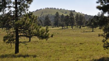Home - Hidden Meadow Ranch