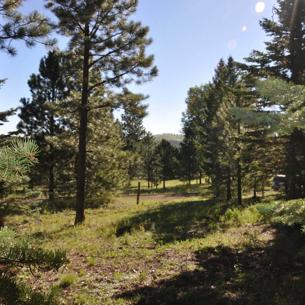 Lots - Hidden Meadow Ranch