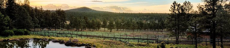 About us - Hidden Meadow Ranch